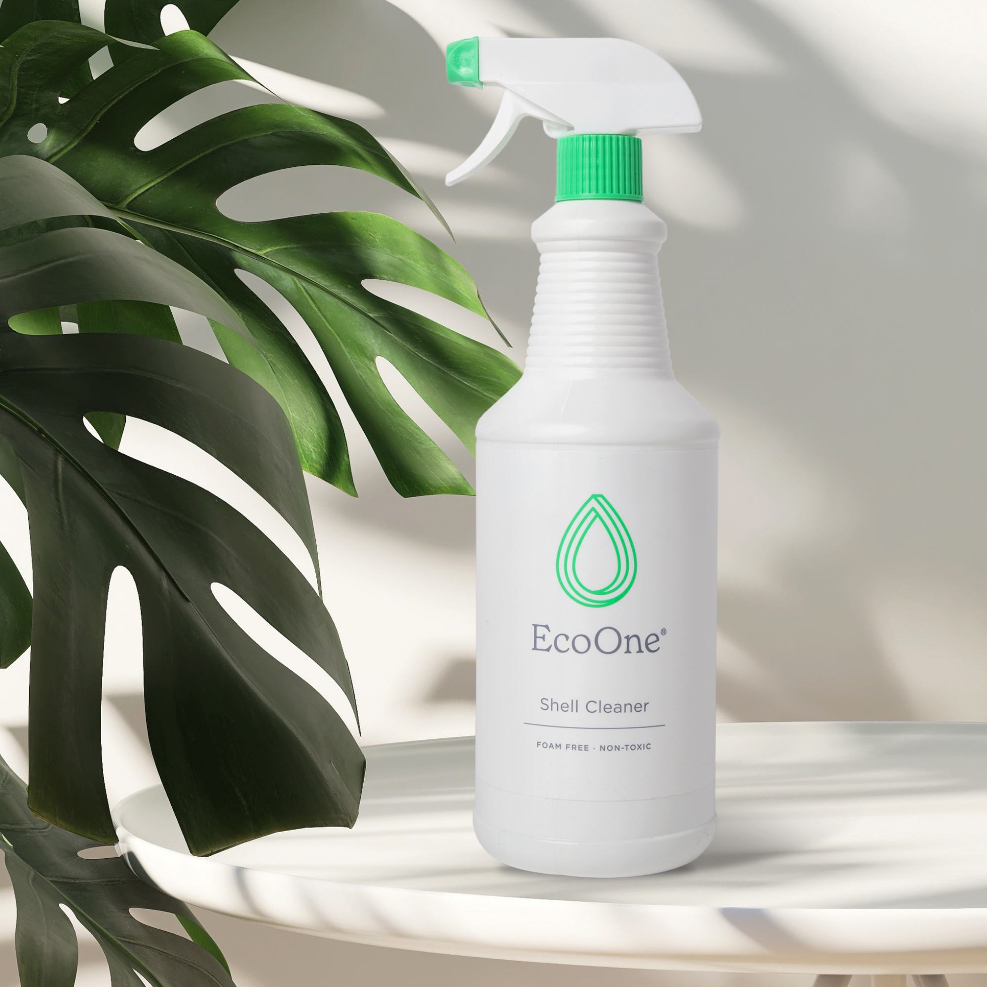 Eco-Friendly Natural Spa Shell Cleaner – EcoOne