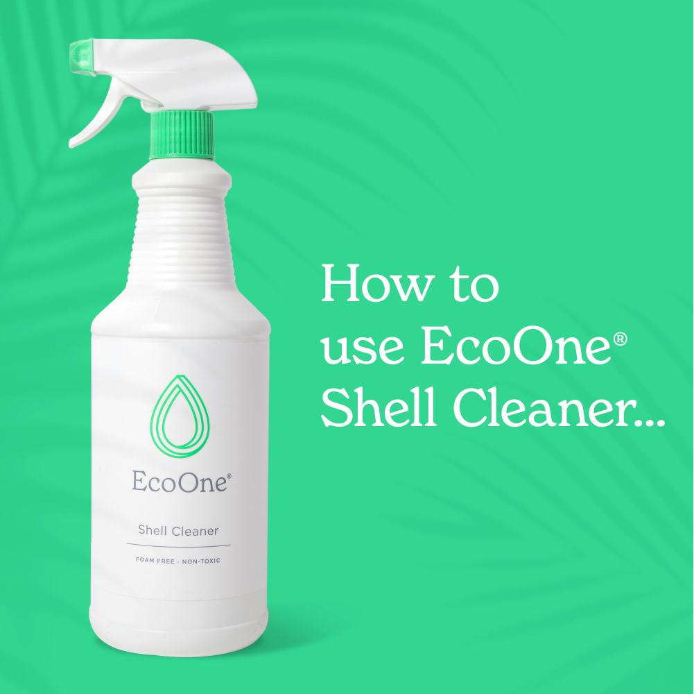 Eco-Friendly Natural Spa Shell Cleaner – EcoOne